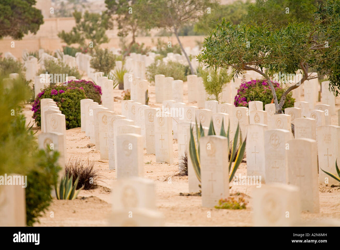 Tradition military photography hi-res stock photography and images - Alamy