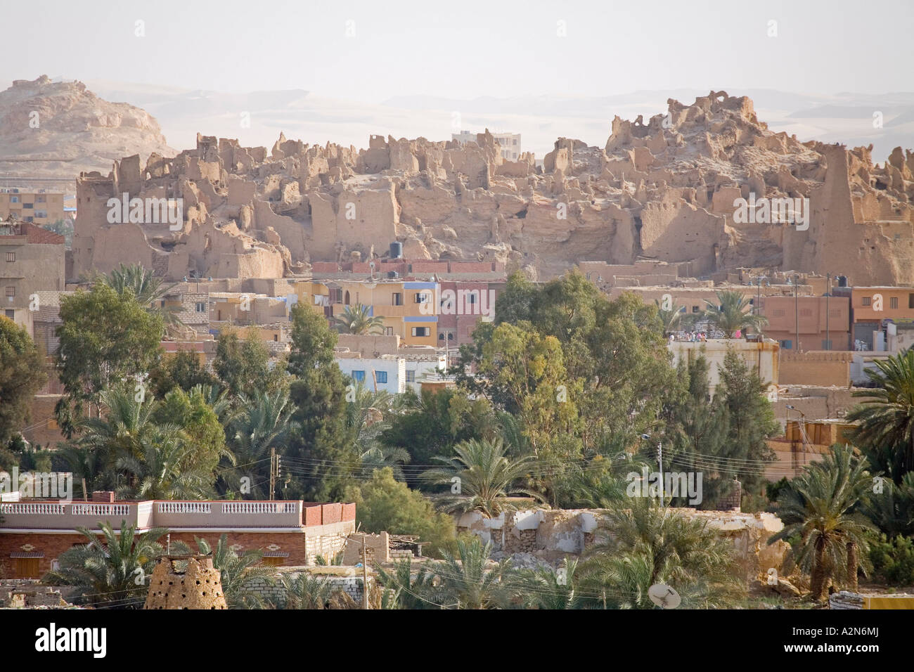 Buildings and trees in city, Siwa Oasis, Libyan Desert, Egypt Stock ...