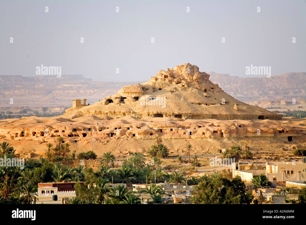 Buildings and trees in city, Siwa Oasis, Libyan Desert, Egypt Stock ...