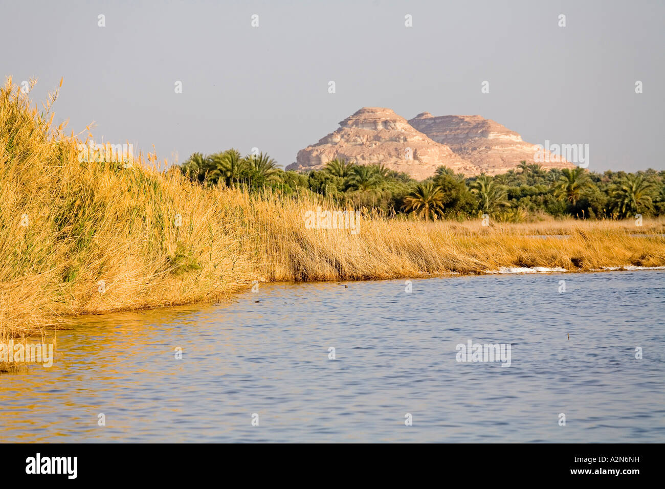 Water pool in desert under clear blue sky, Siwa Oasis, Libyan Desert ...