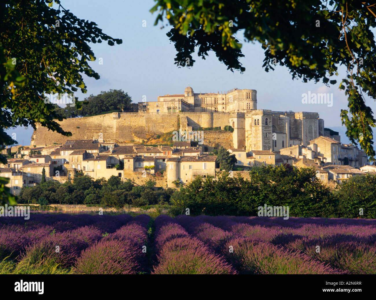 Castle on hill, Chateau de Grignan, Drome, Rhone-Alpes, France Stock ...