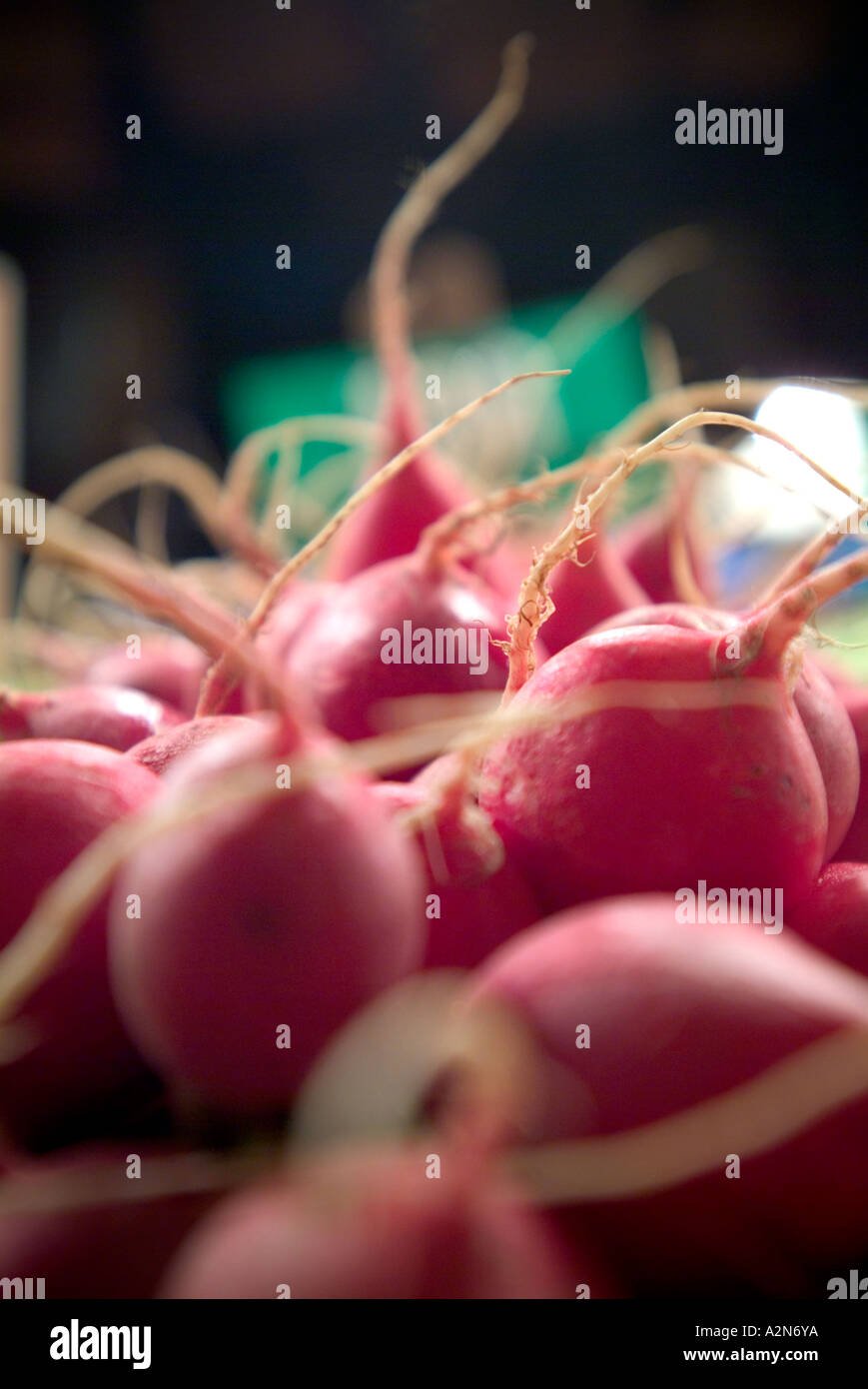 organically grown radishes Stock Photo - Alamy