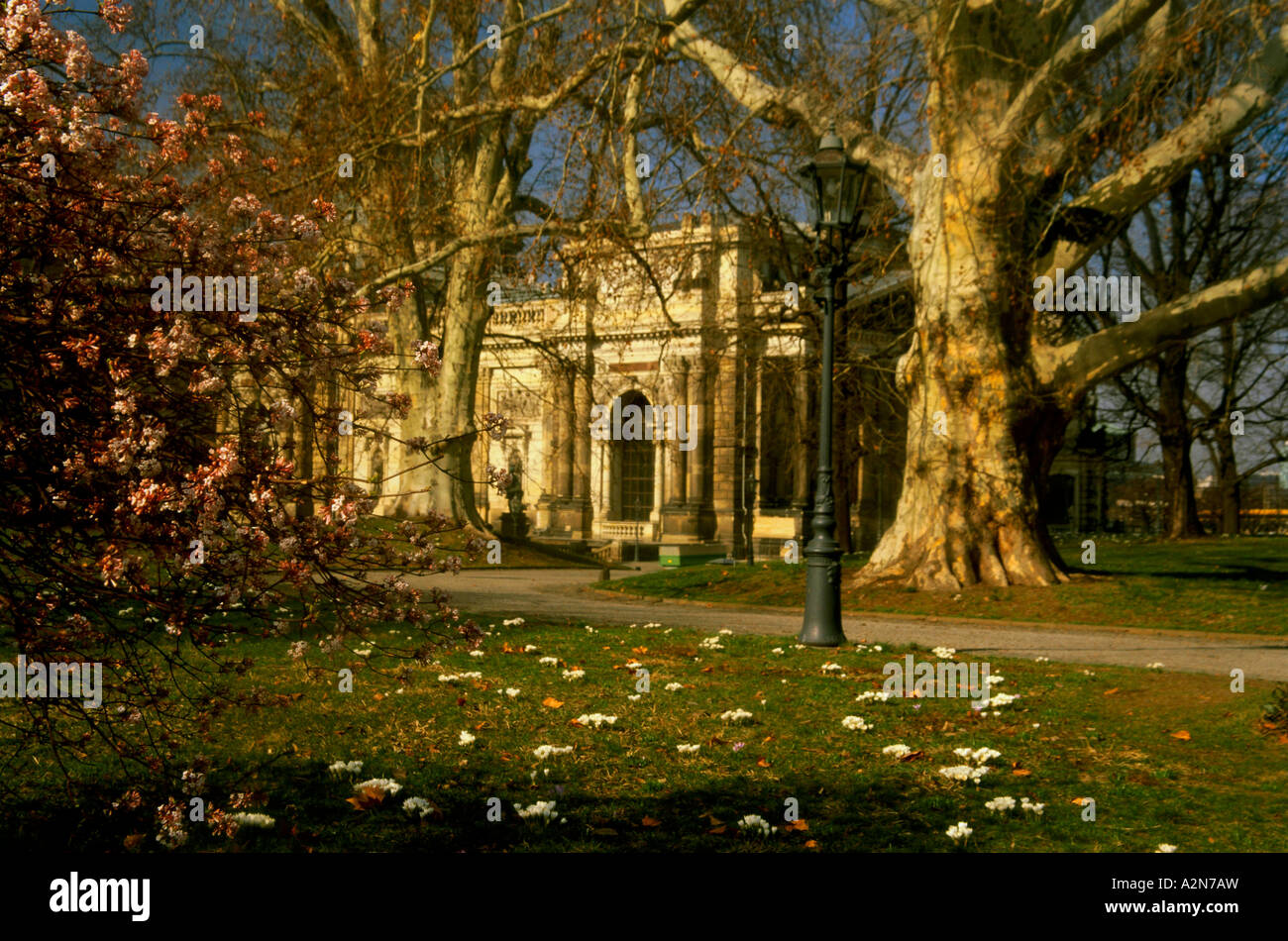 Trees in park, Bruhl Terrace, Dresden, Saxony, Germany Stock Photo - Alamy