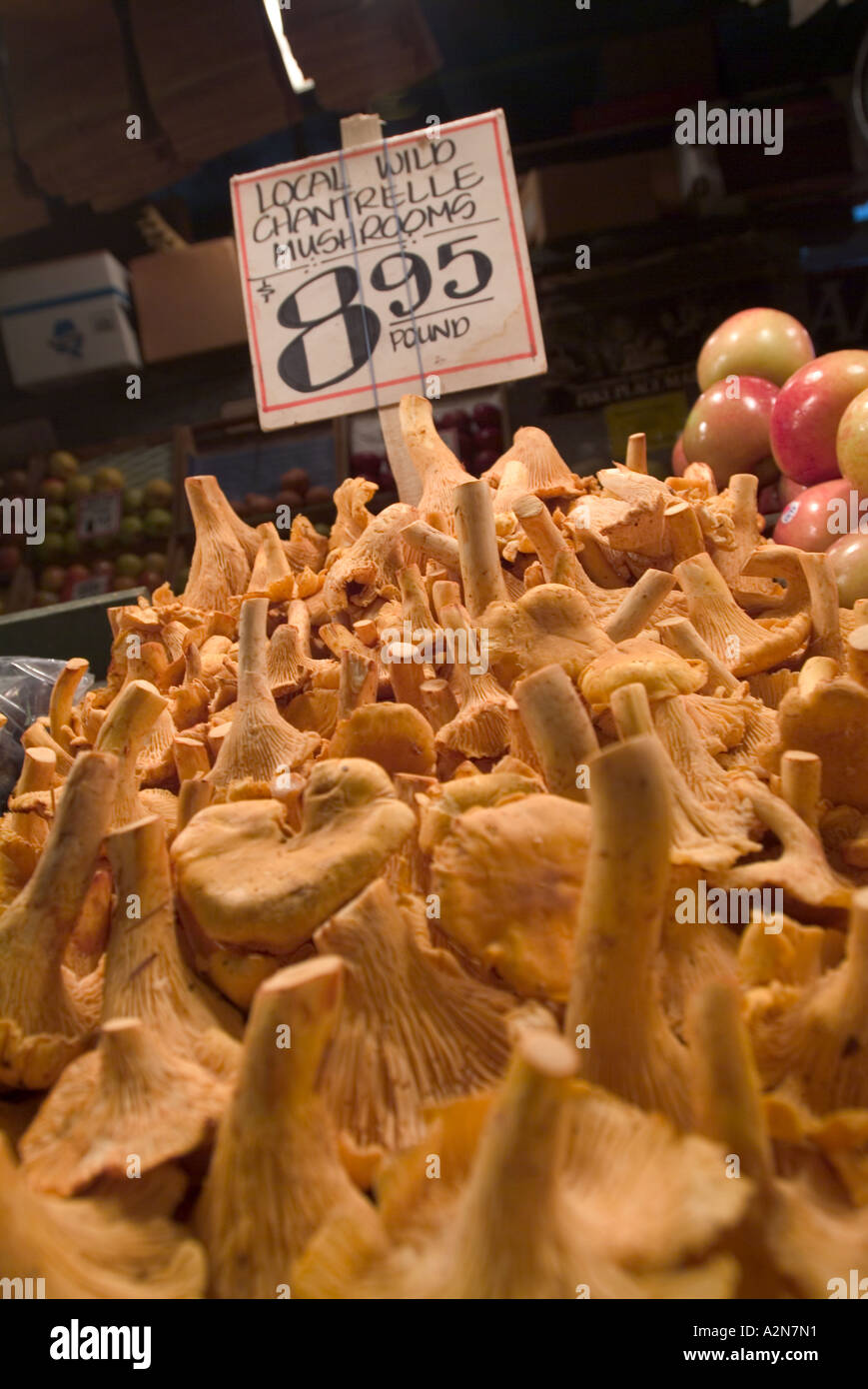Local Wild Chantarelle Mushrooms at Pike Place Market, Seattle ...