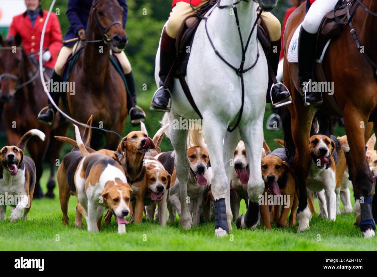 Ride the hounds hi-res stock photography and images - Alamy