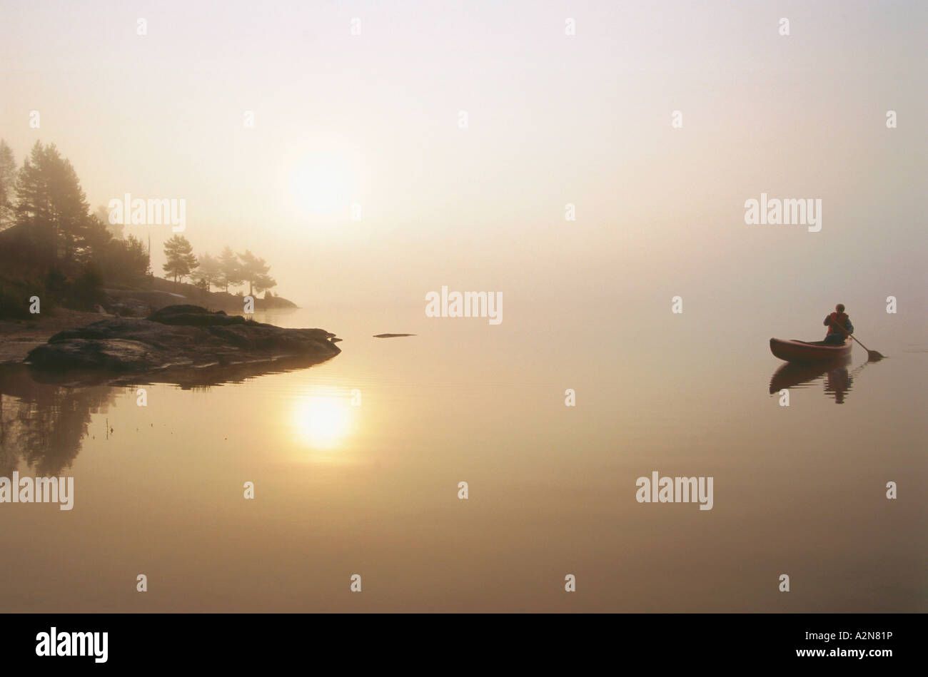 Man rowing boat on Bjorndalsvatnet Lake at sunrise, Bremanger, Norway ...