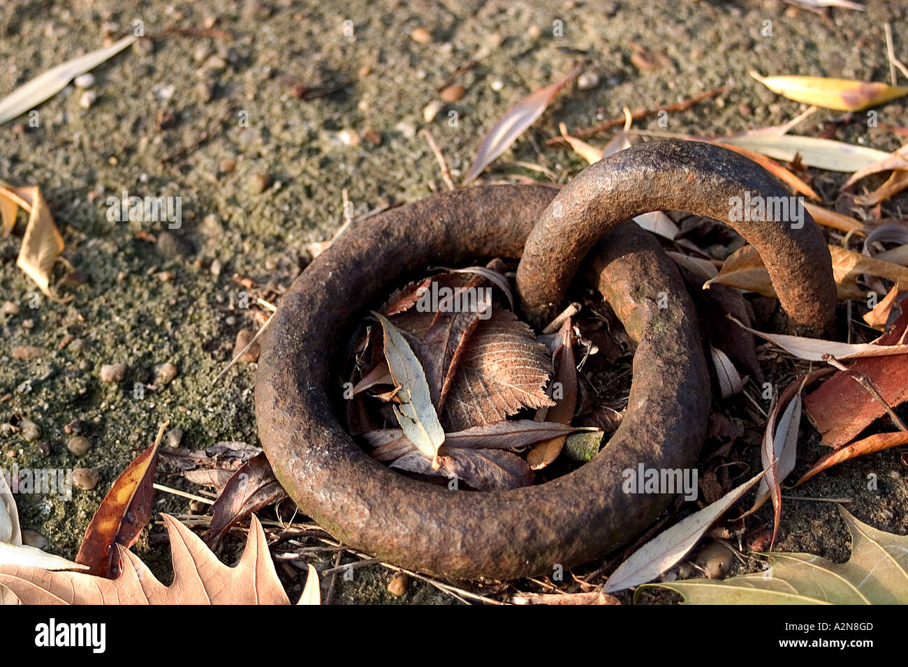 Jewellery fastener hi-res stock photography and images - Alamy