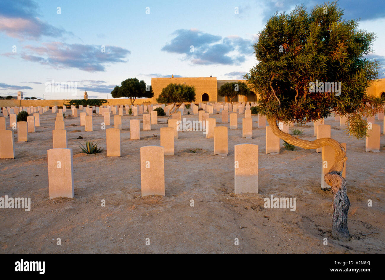 Graves in battlefield, Alexandria, Egypt Stock Photo - Alamy