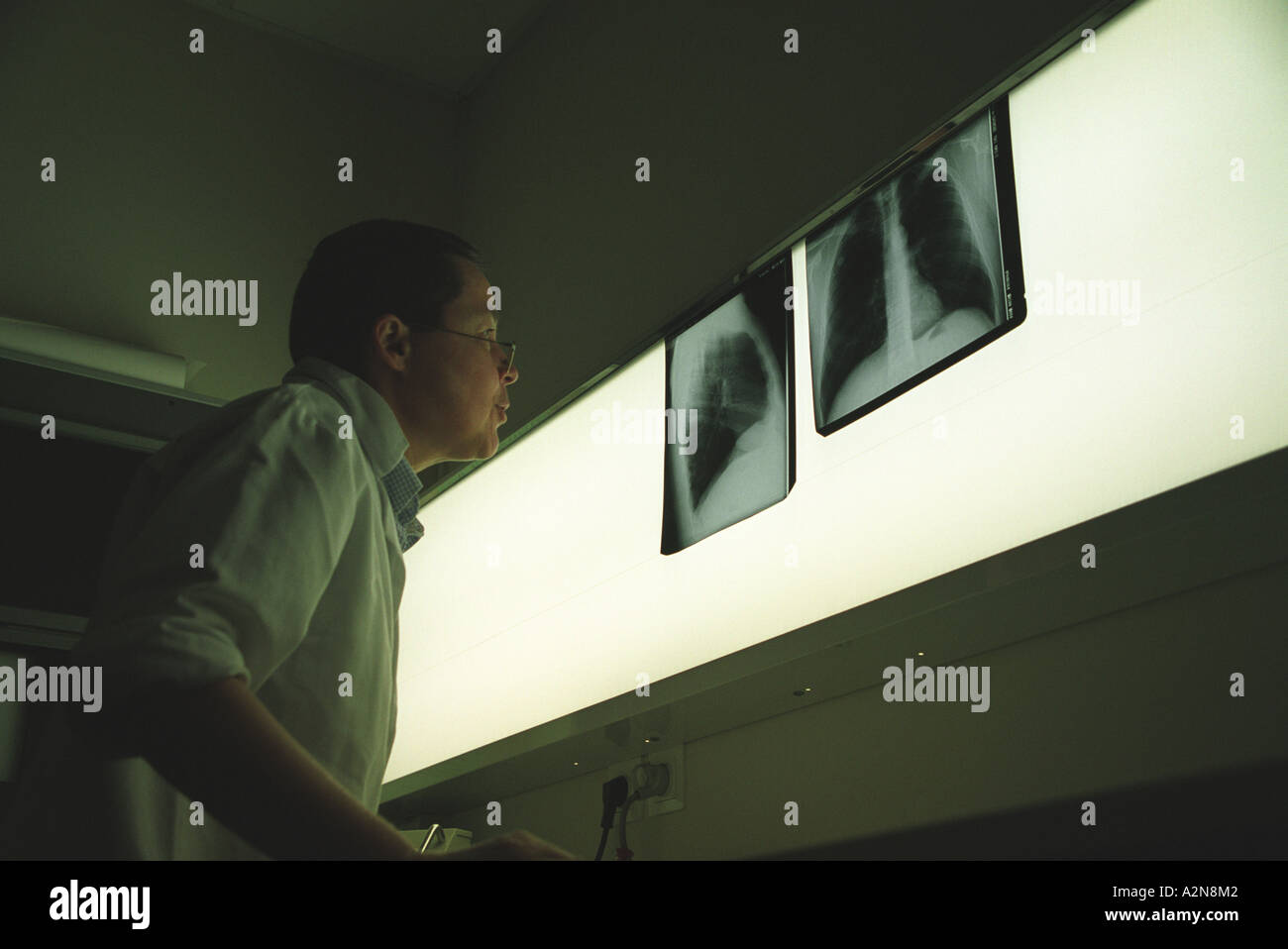 Doctor doing an X-Ray Stock Photo - Alamy
