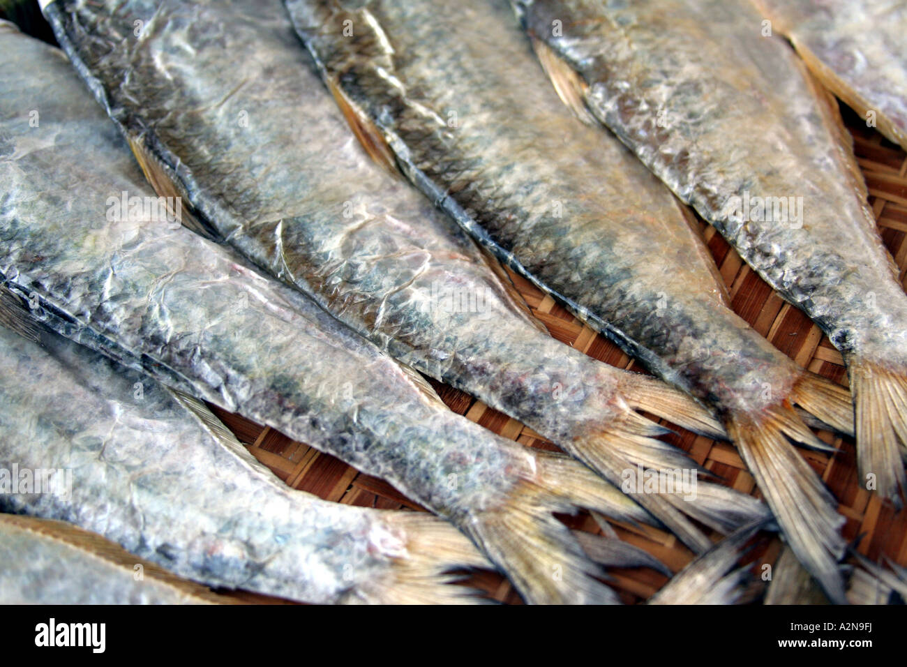 Dried salty fish, Chinese cuisine Stock Photo - Alamy