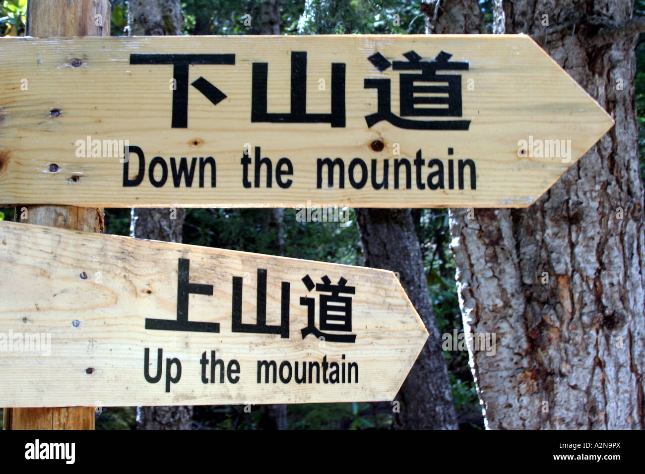 Bilingual Road Signs, China Stock Photo - Alamy
