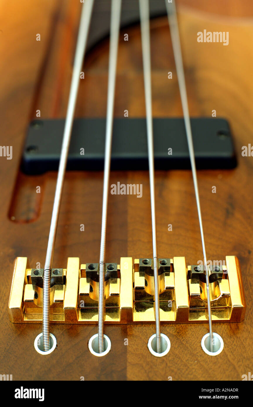 Detail of musical instrument strings Stock Photo - Alamy