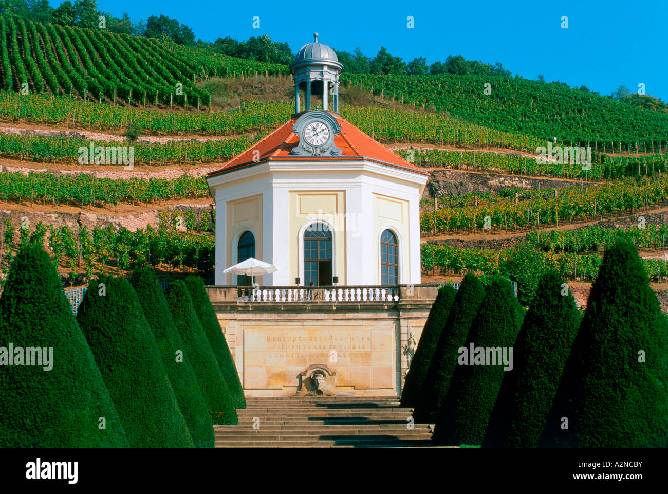 Castle with vineyards in background, Schloss Wackerbarth, Radebeul ...