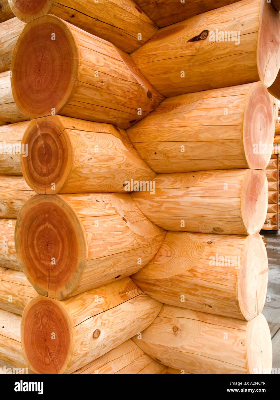 Log cabin under construction hi-res stock photography and images - Alamy
