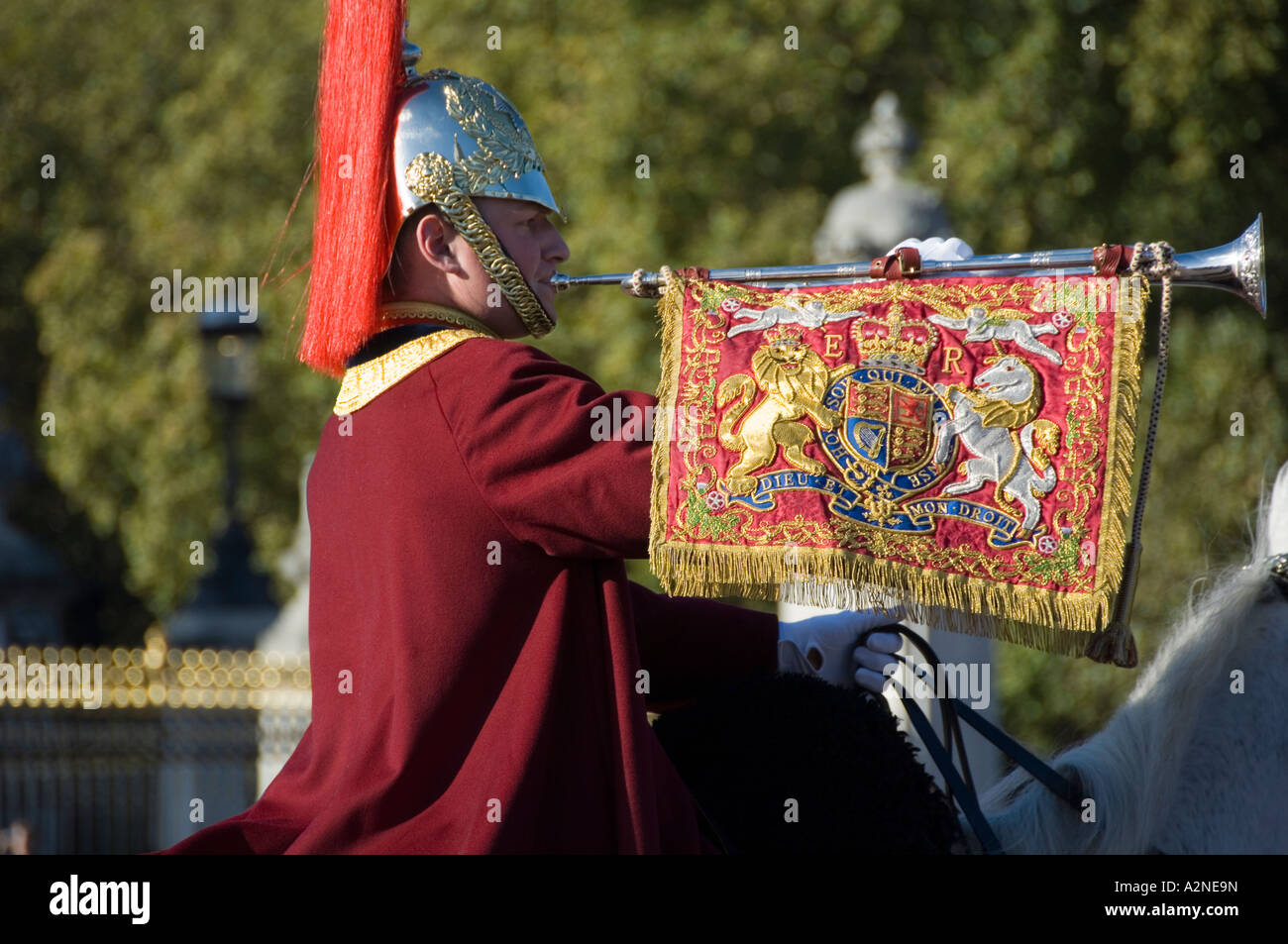 Lifeguard of the Blues and Royals outside Buckingham Palace in London ...