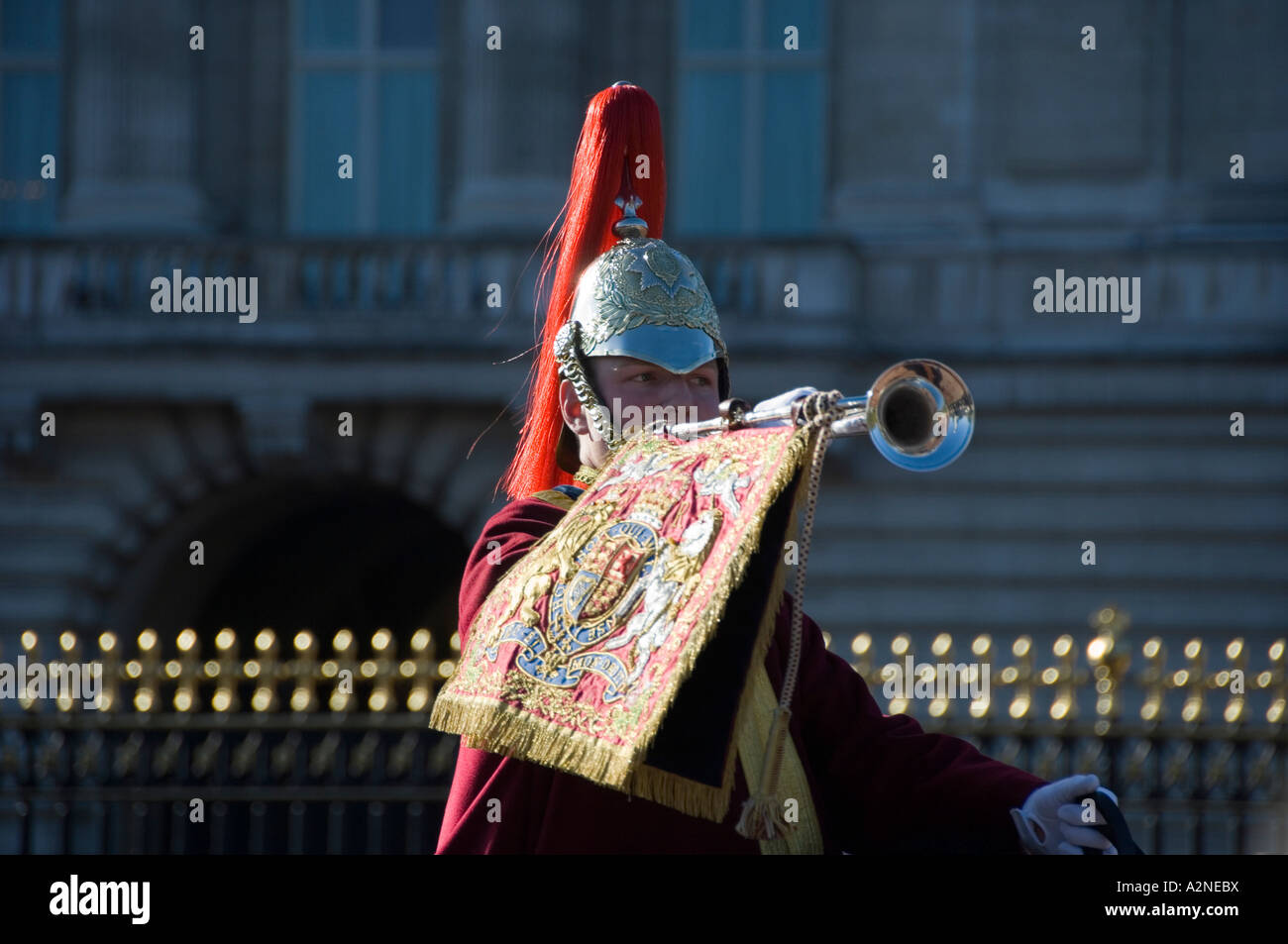 Lifeguard of the Blues and Royals outside Buckingham Palace in London ...