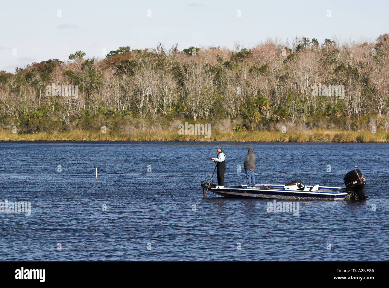 Ocala national forest salt hi-res stock photography and images - Alamy