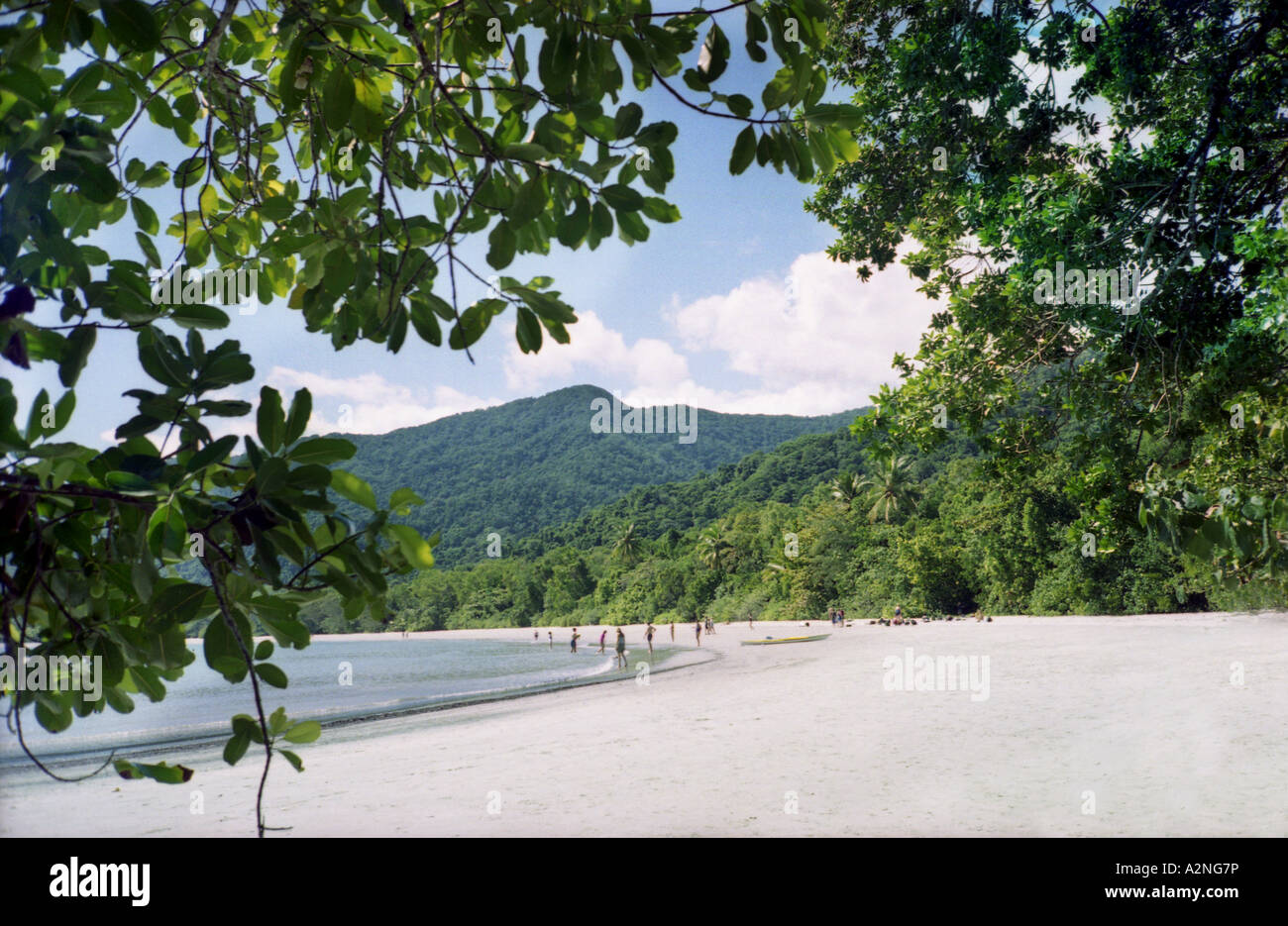 Dry tropical rainforest queensland hi-res stock photography and images ...