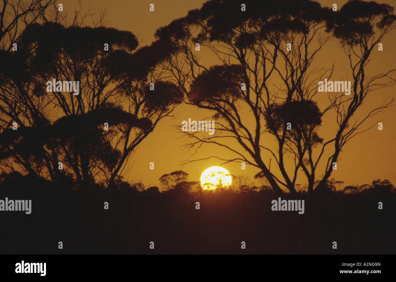 Sunsets on the Australian outback Stock Photo - Alamy
