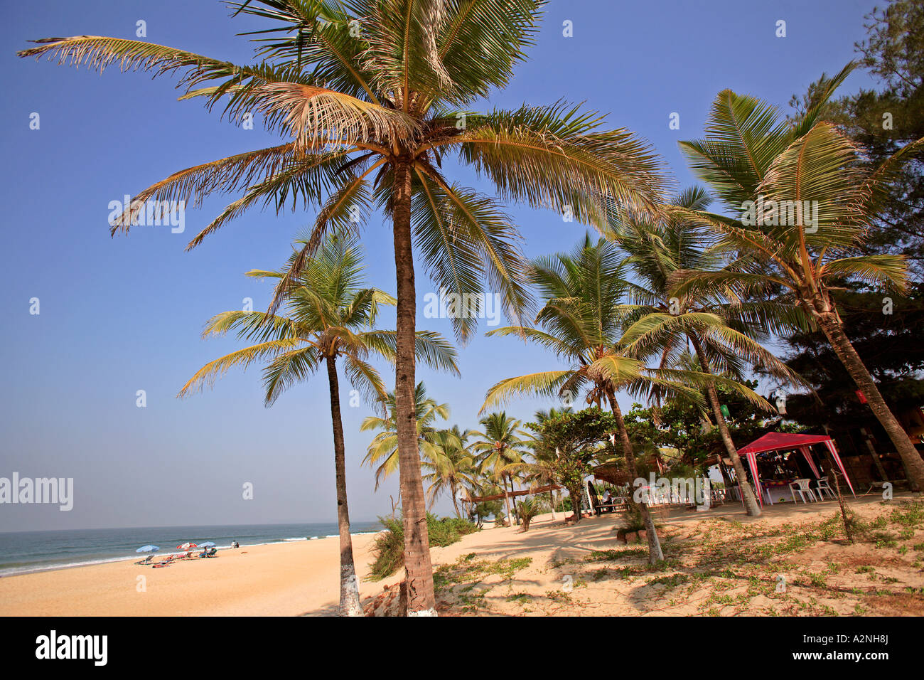 Zeebop Goa Menu Of Zeebop, Majorda, South Goa