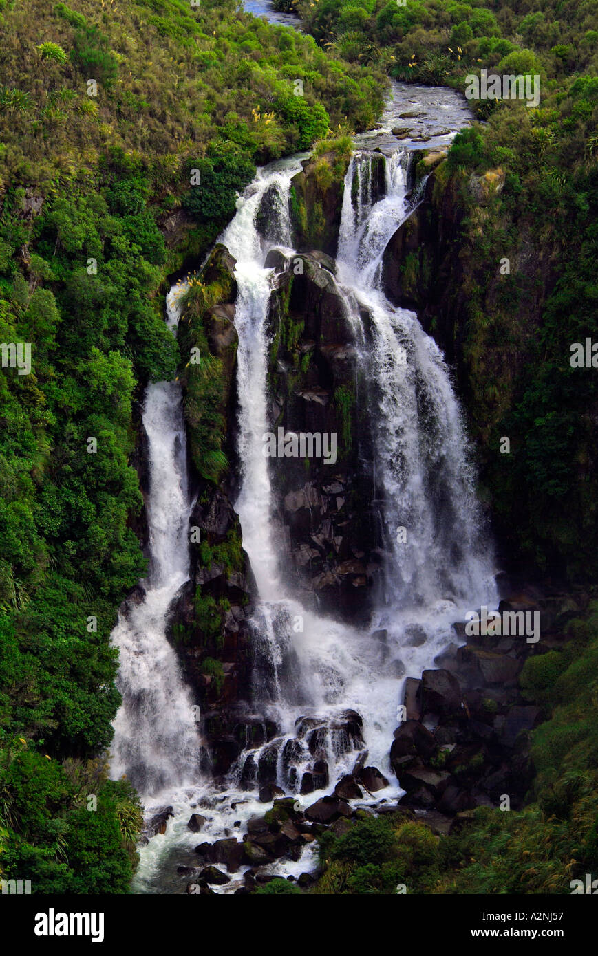Waterfall Waipunga Falls half way between Taupo and Napier North Island New Zealand Stock Photo ...