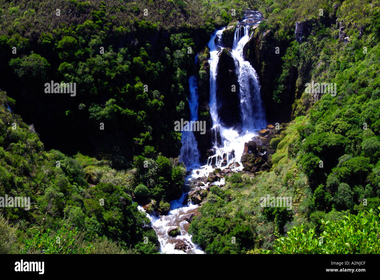 Waterfall Waipunga Falls half way between Taupo and Napier North Island New Zealand Stock Photo ...