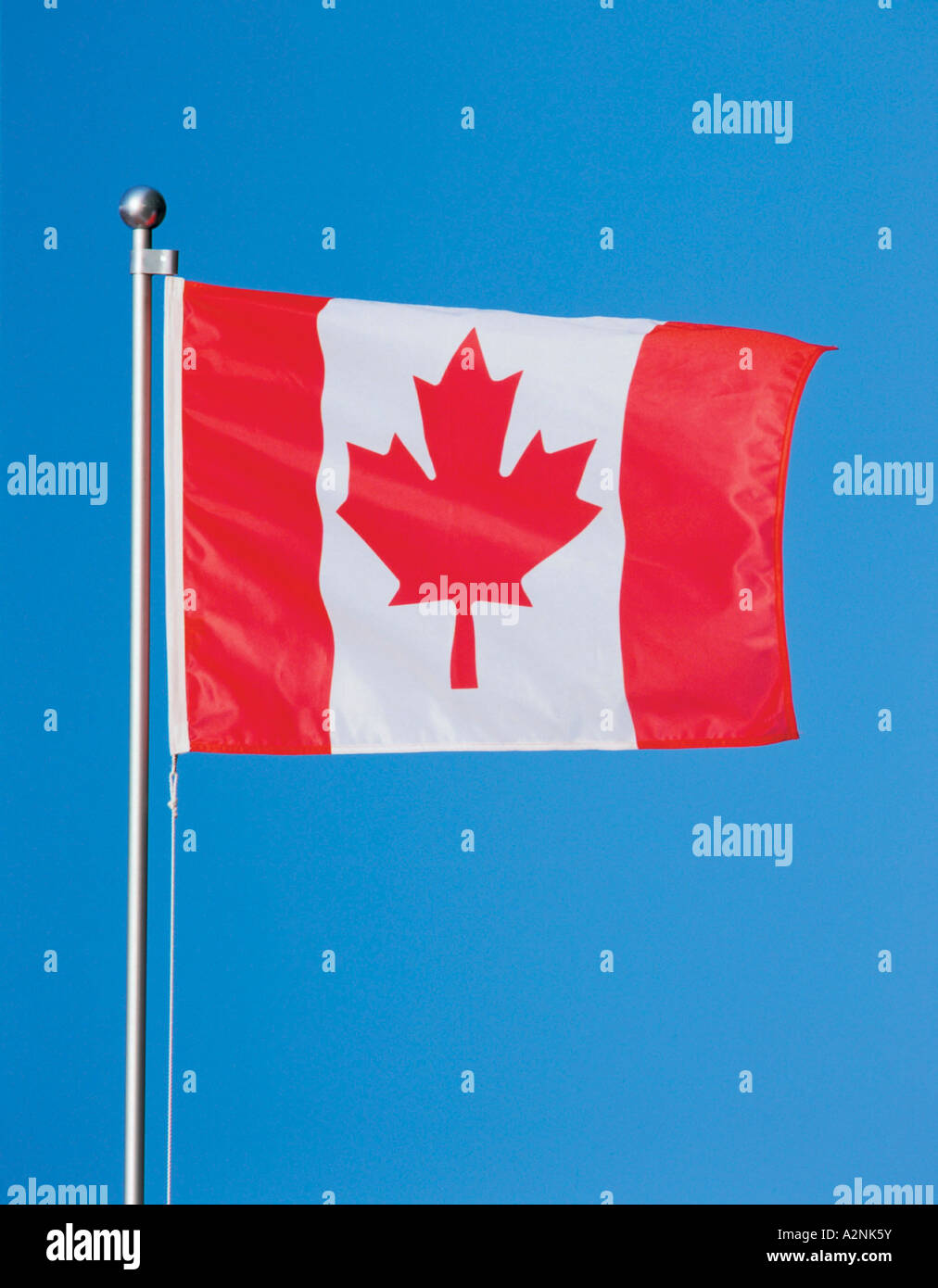 Close-up of Canadian flag Stock Photo - Alamy