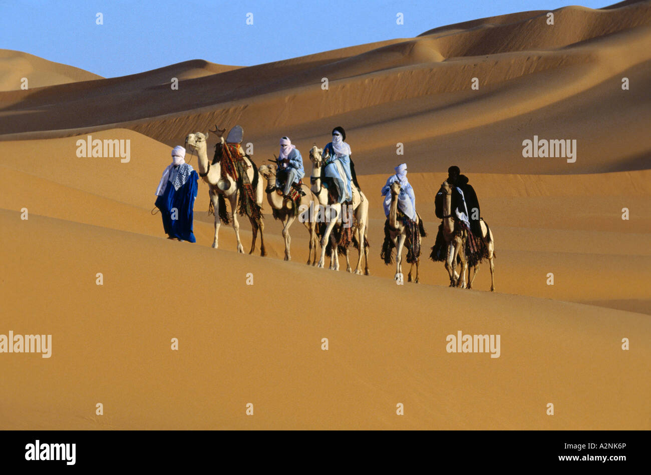 Group of people riding camel in desert Stock Photo - Alamy