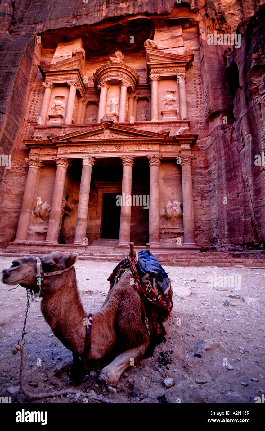 Camel sitting in front of ruins hi-res stock photography and images - Alamy