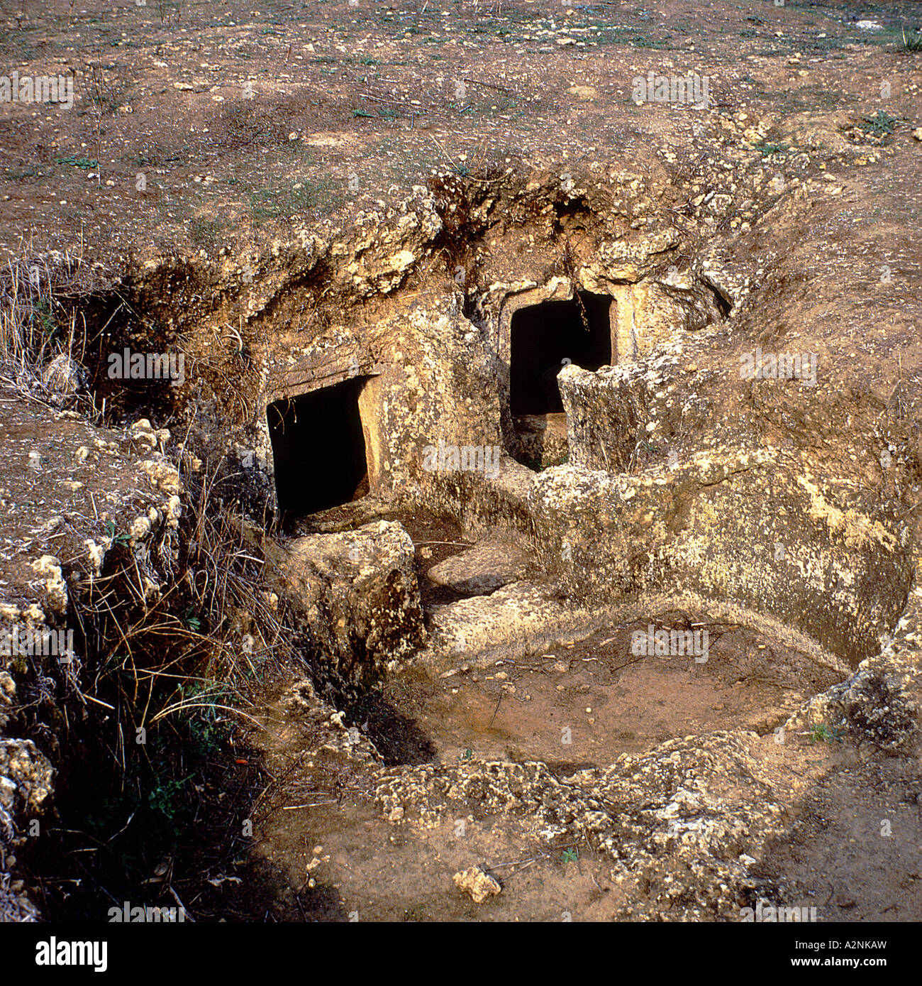 Ruiu hi-res stock photography and images - Alamy