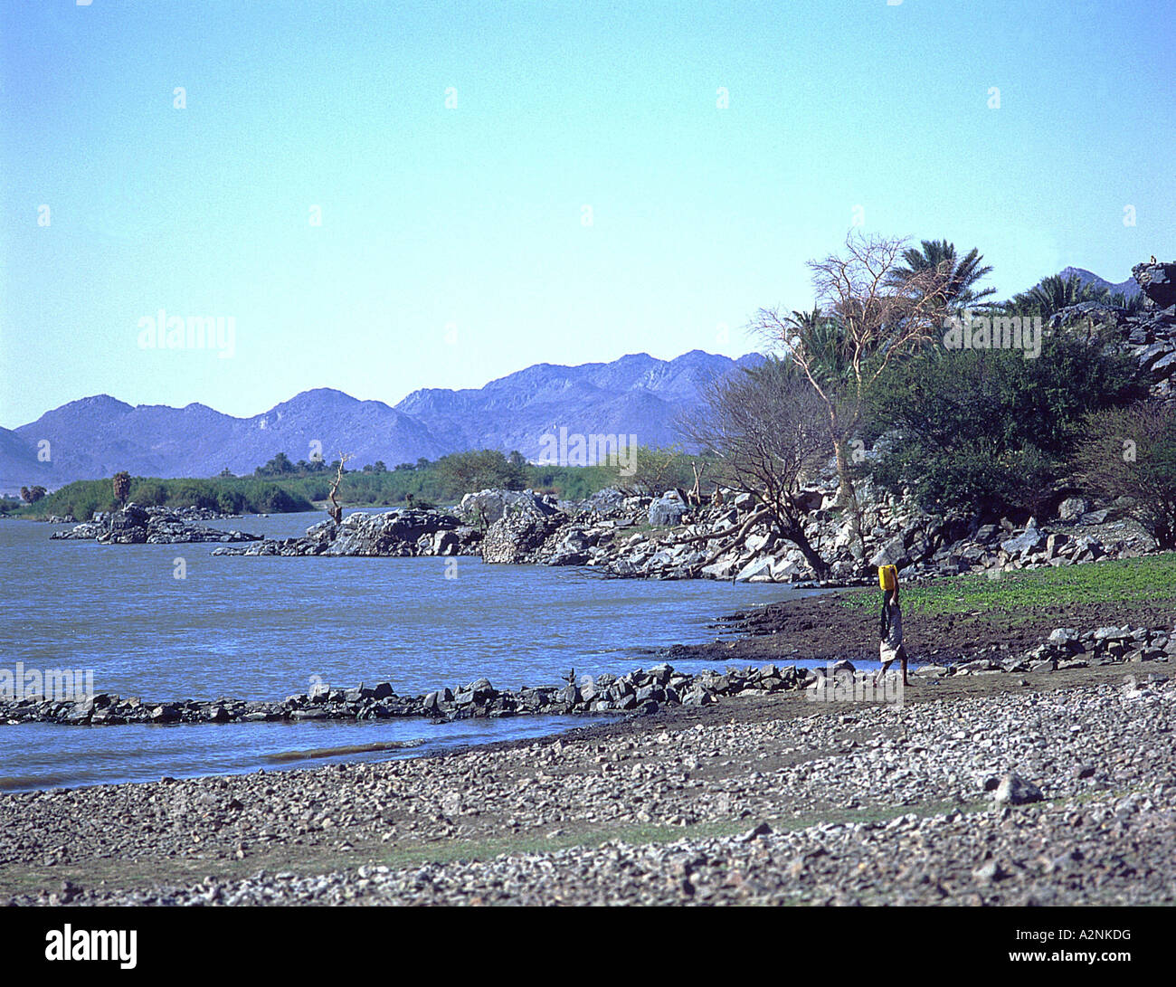 Woman carrying bucket on her head on a lakeside, Wadi Halfa, Lake Nubia ...