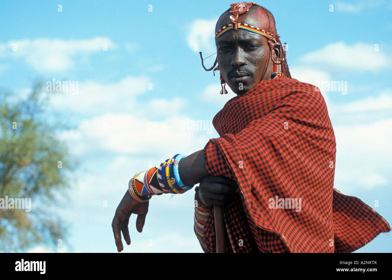 Massai warrior looking at camera portrait Stock Photo - Alamy