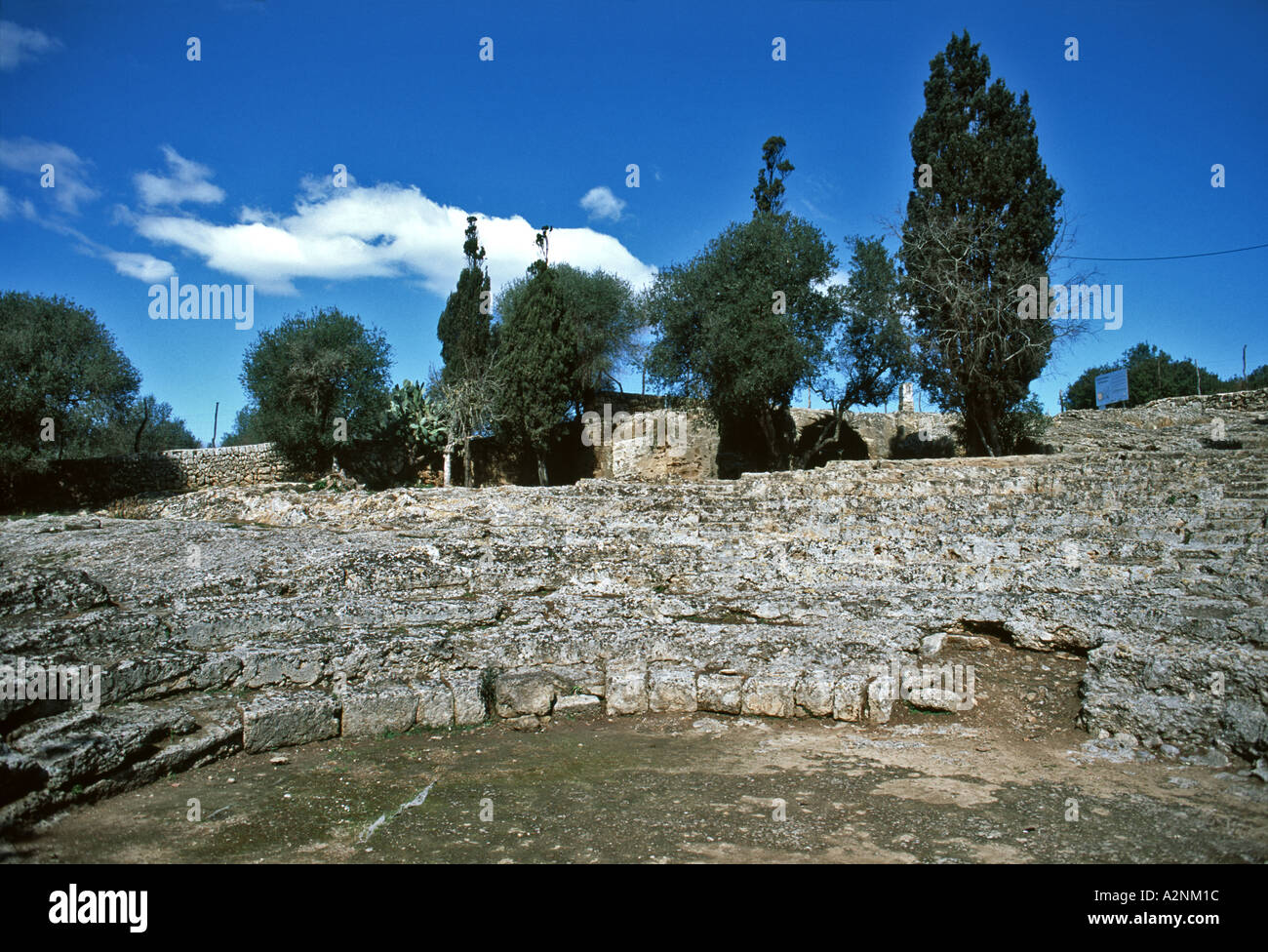 Roman Theatre at Pollentia Mallorca Stock Photo - Alamy
