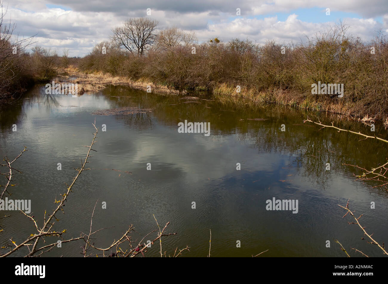 Coombe hill nature reserve hi-res stock photography and images - Alamy