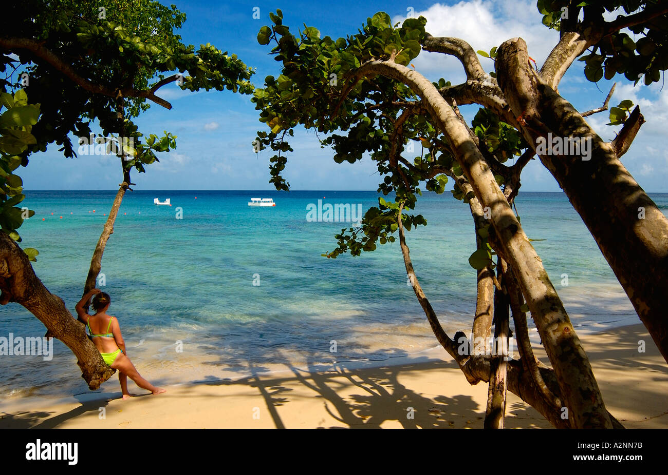 Trees overhang the powder white sands of St James beach Caribbean Sea ...
