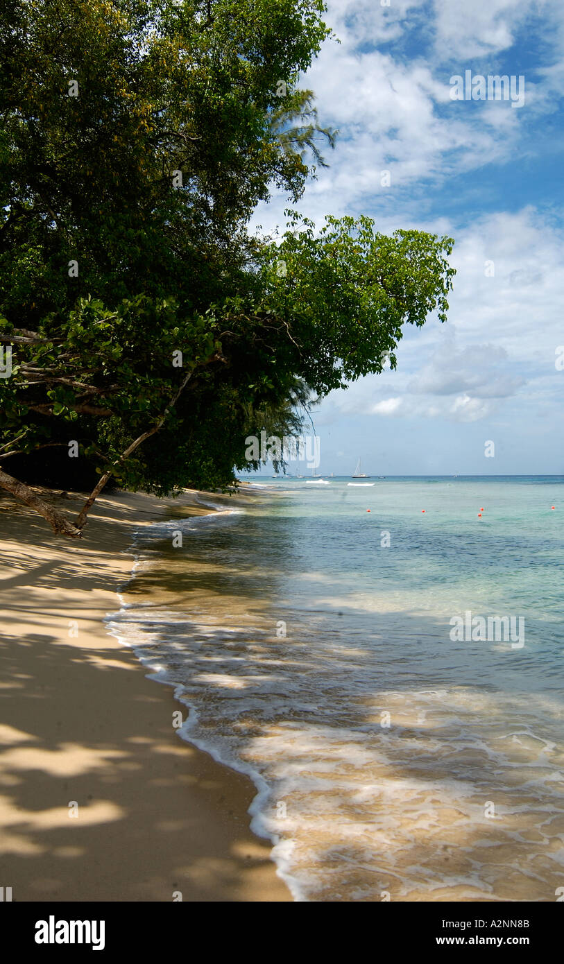 St james barbados hi-res stock photography and images - Alamy