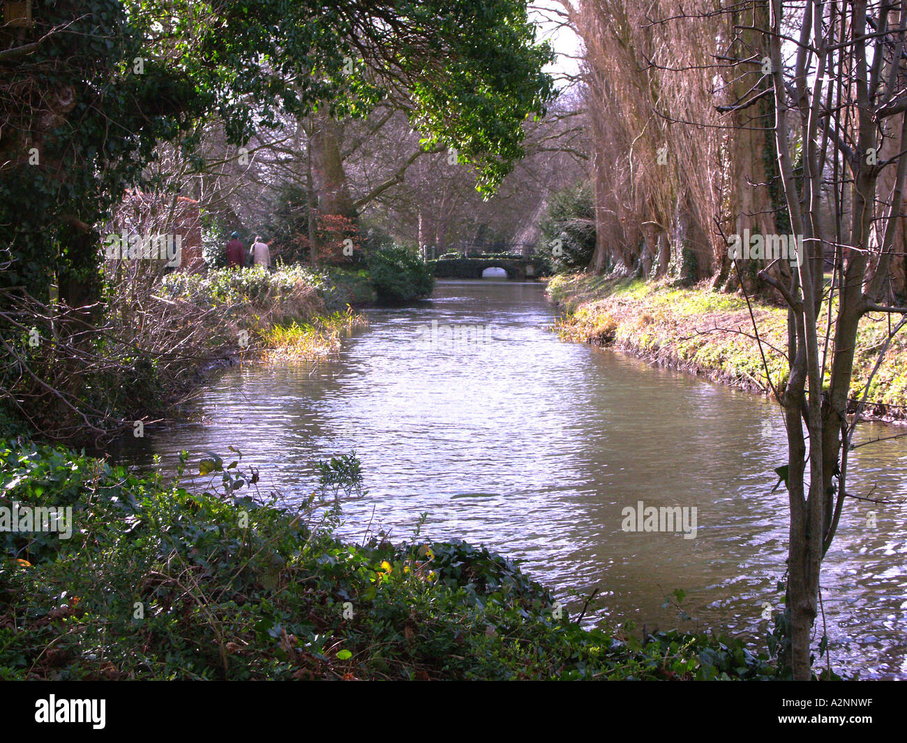 KONICA MINOLTA DIGITAL CAMERA Stock Photo - Alamy