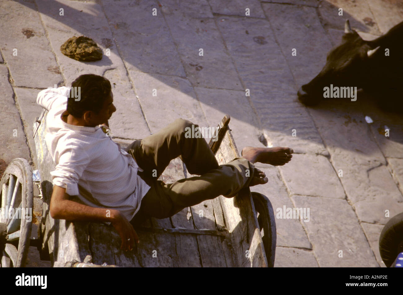 Indolently hi-res stock photography and images - Alamy