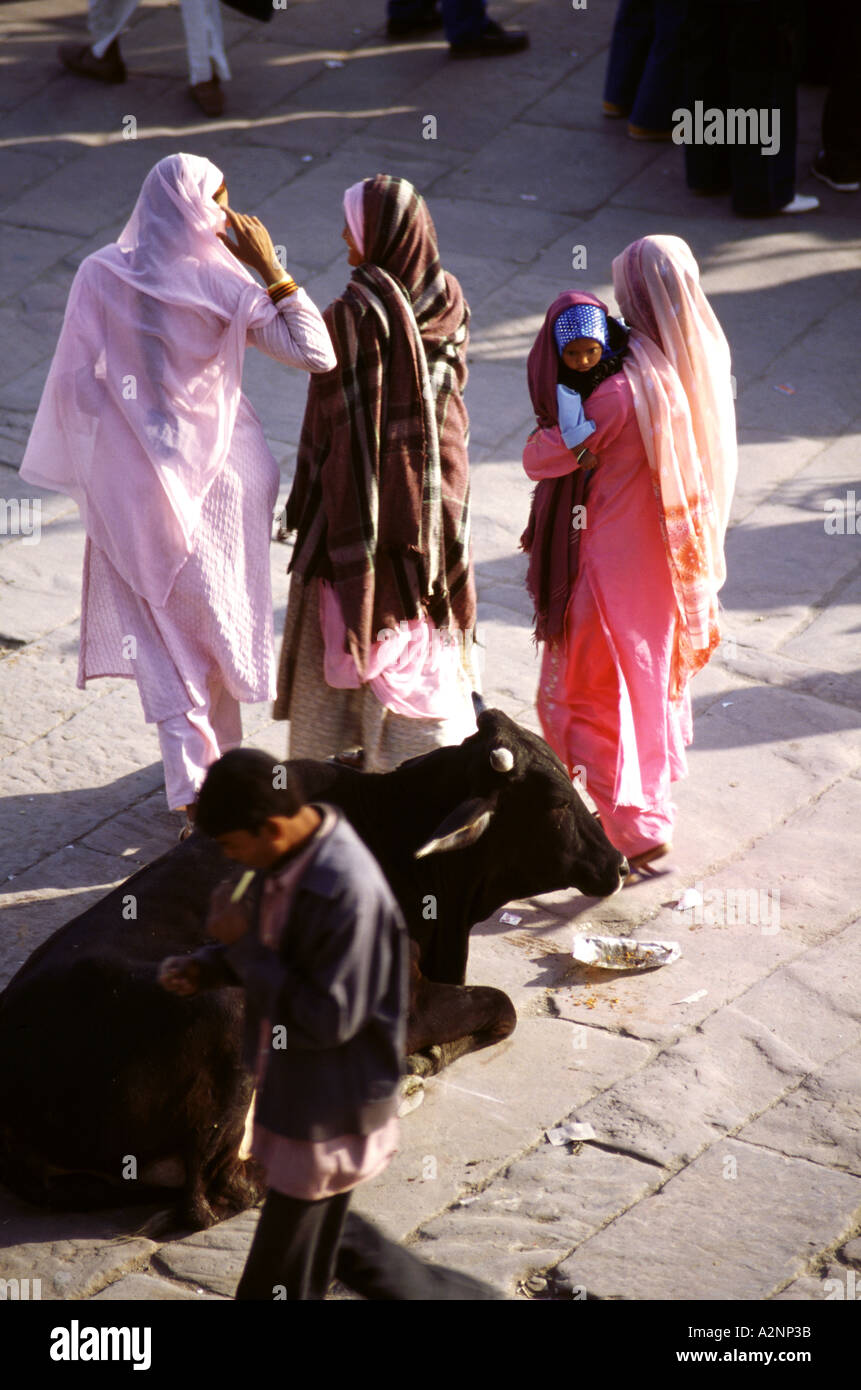 Indolently Stock Photos & Indolently Stock Images - Alamy