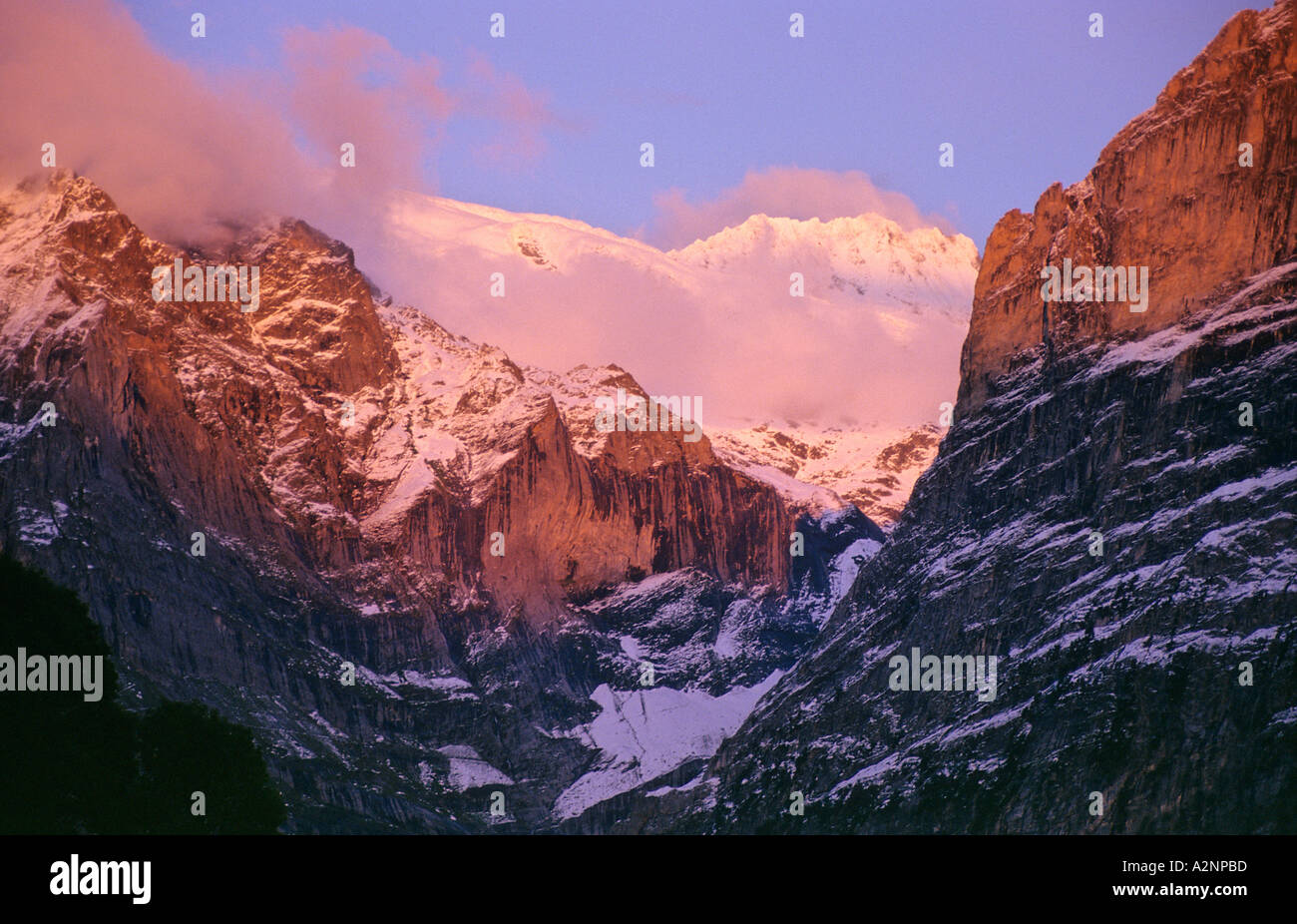 Alpenglow at Grindelwald Switzerland Stock Photo - Alamy