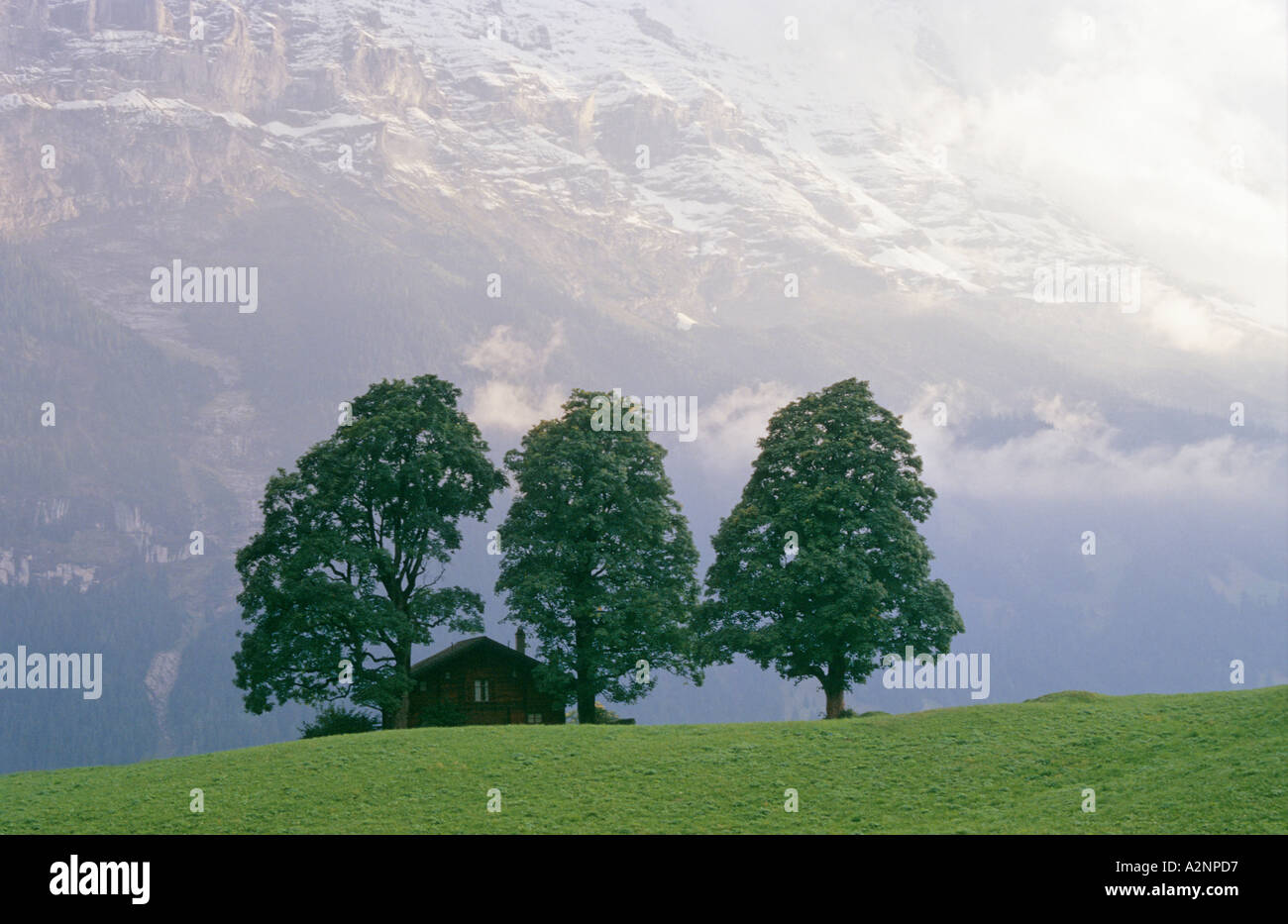 Cabin under the trees hi-res stock photography and images - Alamy