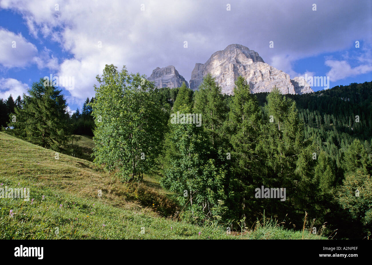 Summit of Monte Pelmo in the Dolomite Mountains Italy Stock Photo - Alamy