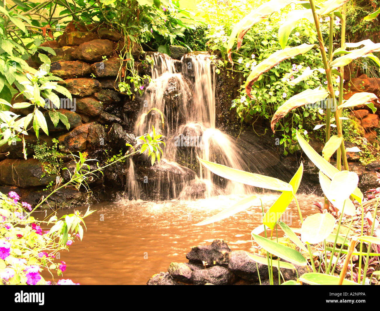 A Gentle Waterfall Stock Photo - Alamy