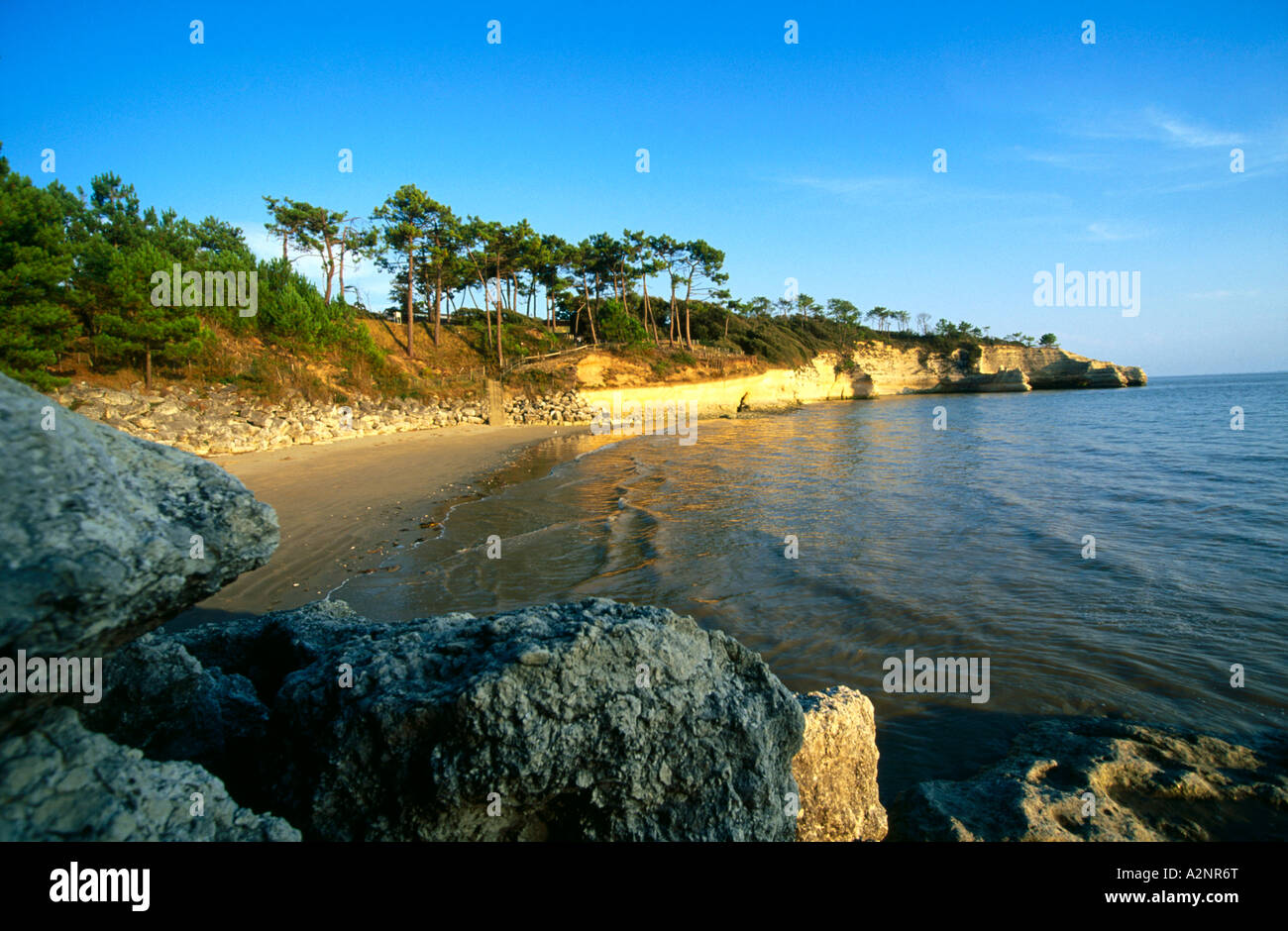 Landscape trees on rocky hi-res stock photography and images - Alamy