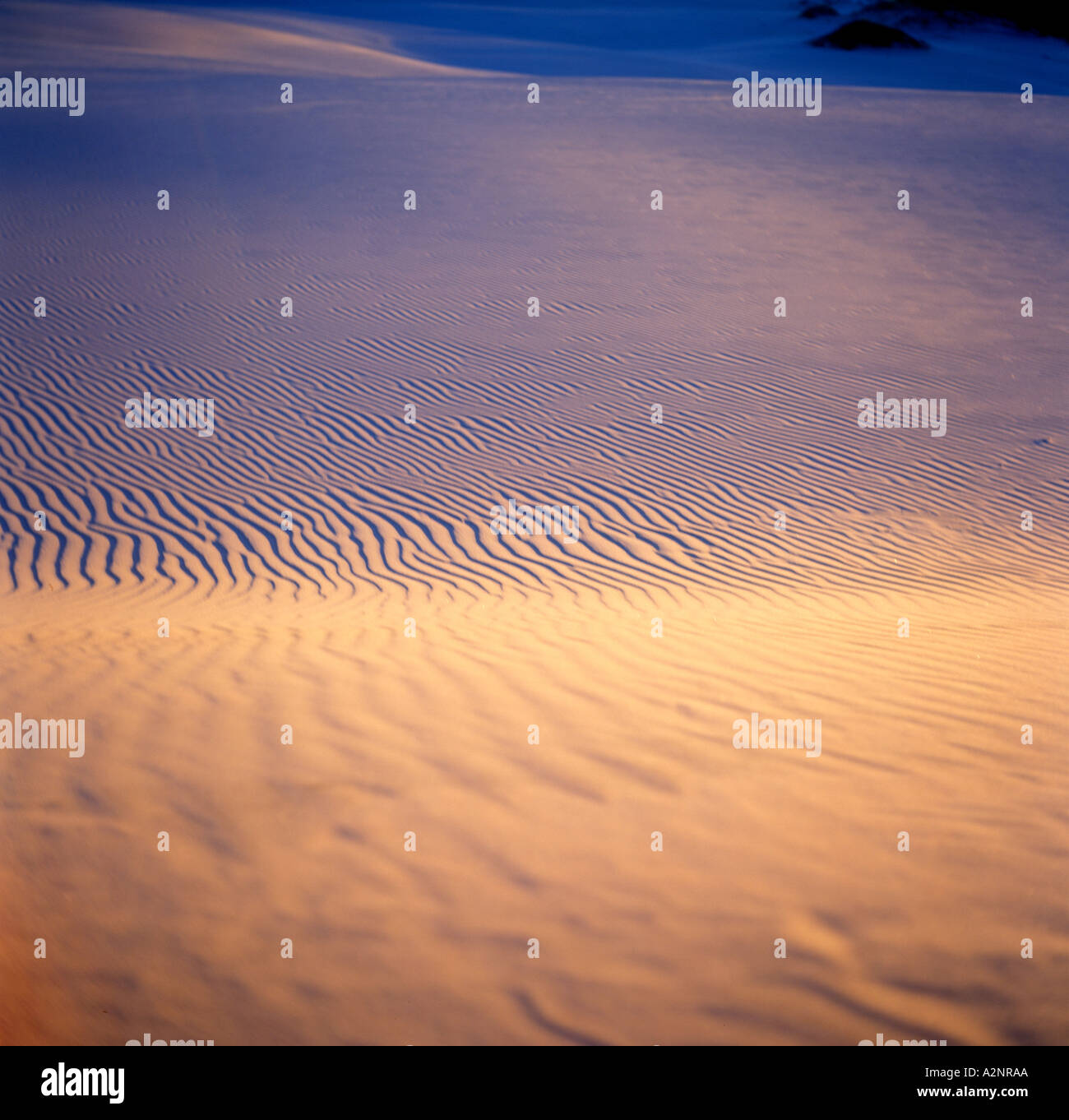fraser island australia indian head sand dunes Stock Photo - Alamy