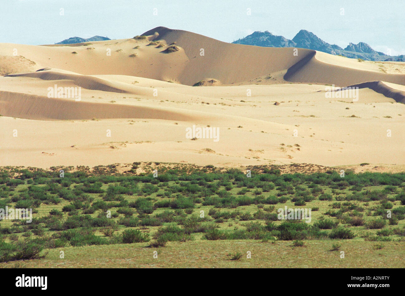 Altan Els Desert. Boorog Deliin Els Desert. Tes somon nearby. Zavkhan ...
