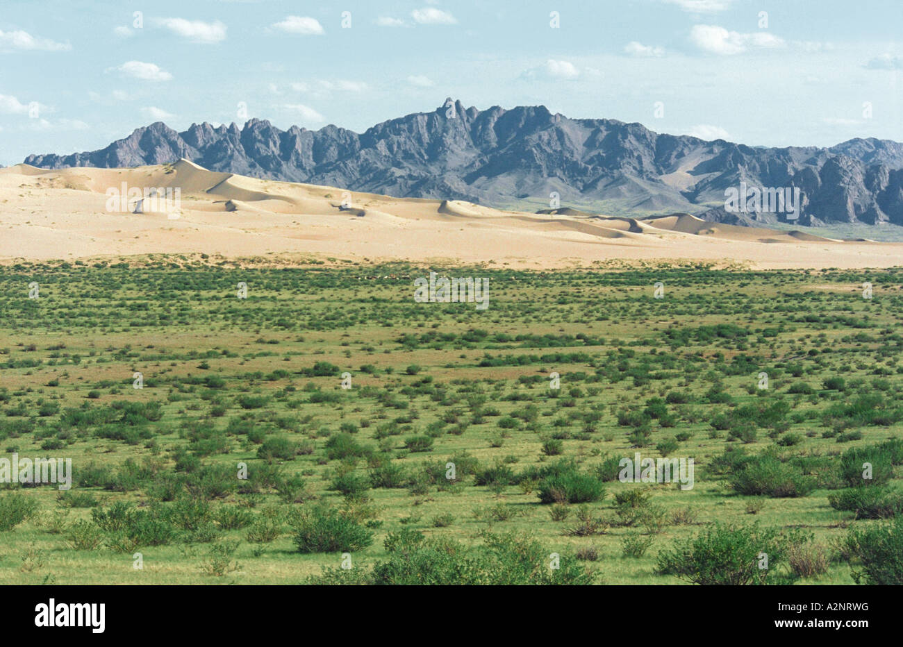 Altan Els Desert. Boorog Deliin Els Desert. Tes somon nearby. Zavkhan ...