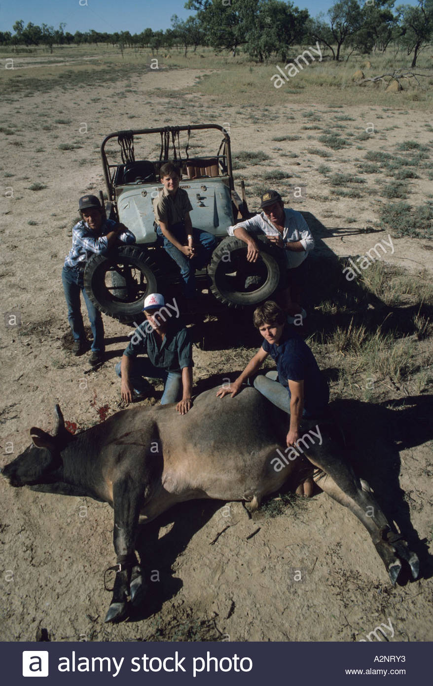 Cattle Station Northern Territory Stock Photos & Cattle Station ...
