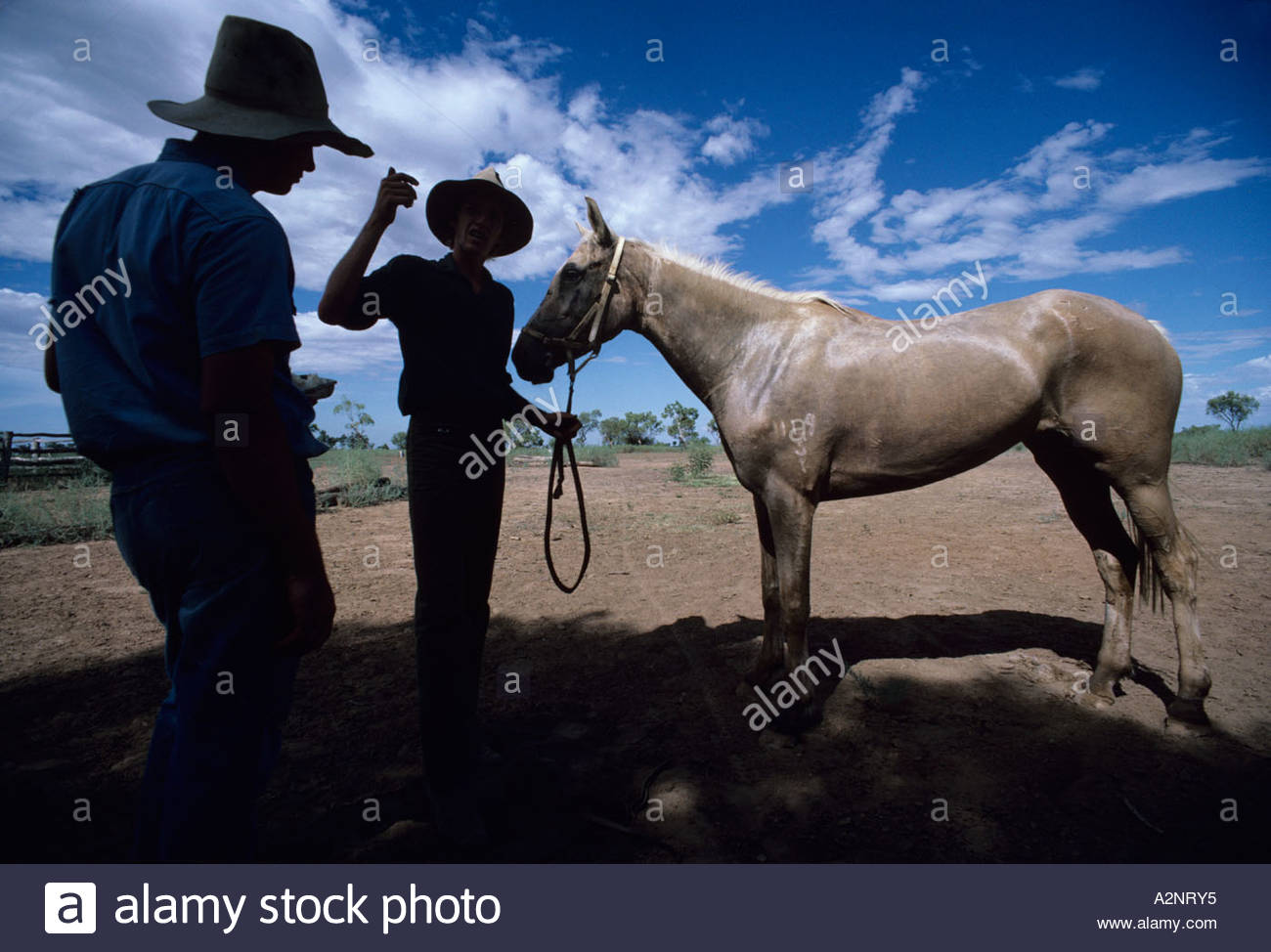 Cattle Station Northern Territory Stock Photos & Cattle Station ...