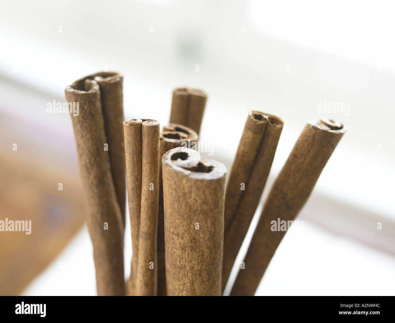cinnamon spice sticks standing up on table backlit by window light ...